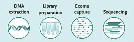 Revolutionizing Prenatal Care: Non-Invasive Trio-Exome Deep Sequencing ...